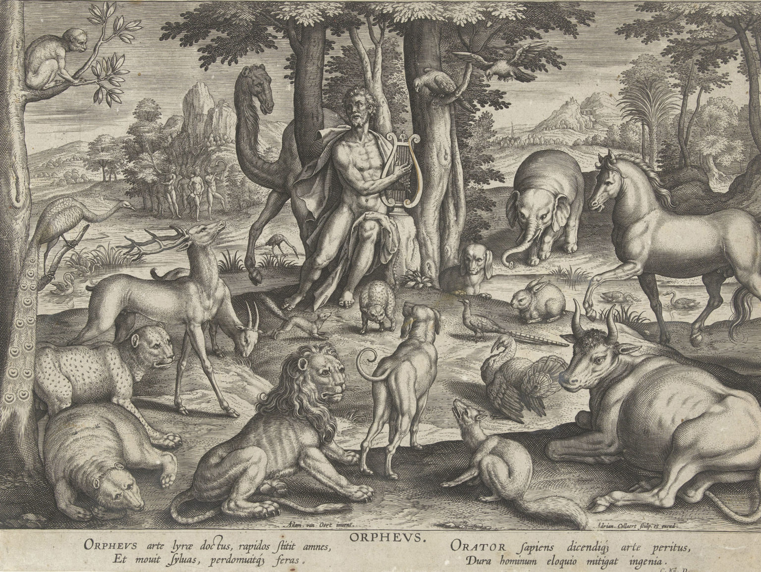 Orpheus enchanting the animals - Endlich